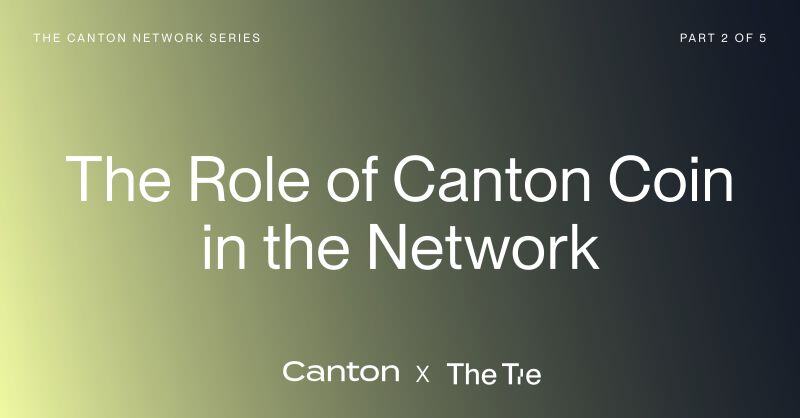The Role of Canton Coin in the Network